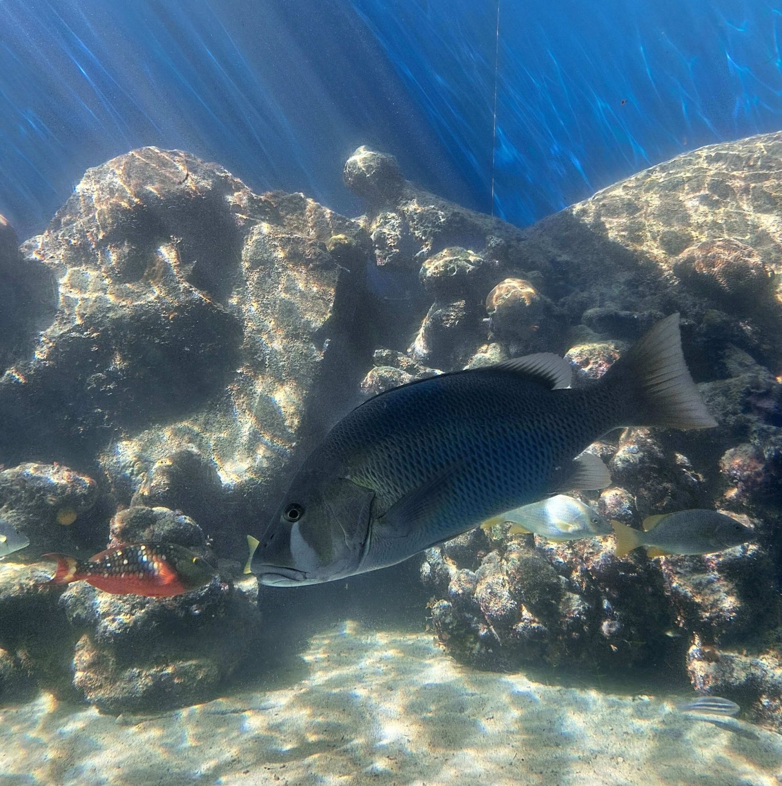 Ultimate 5-Day St.Thomas Itinerary